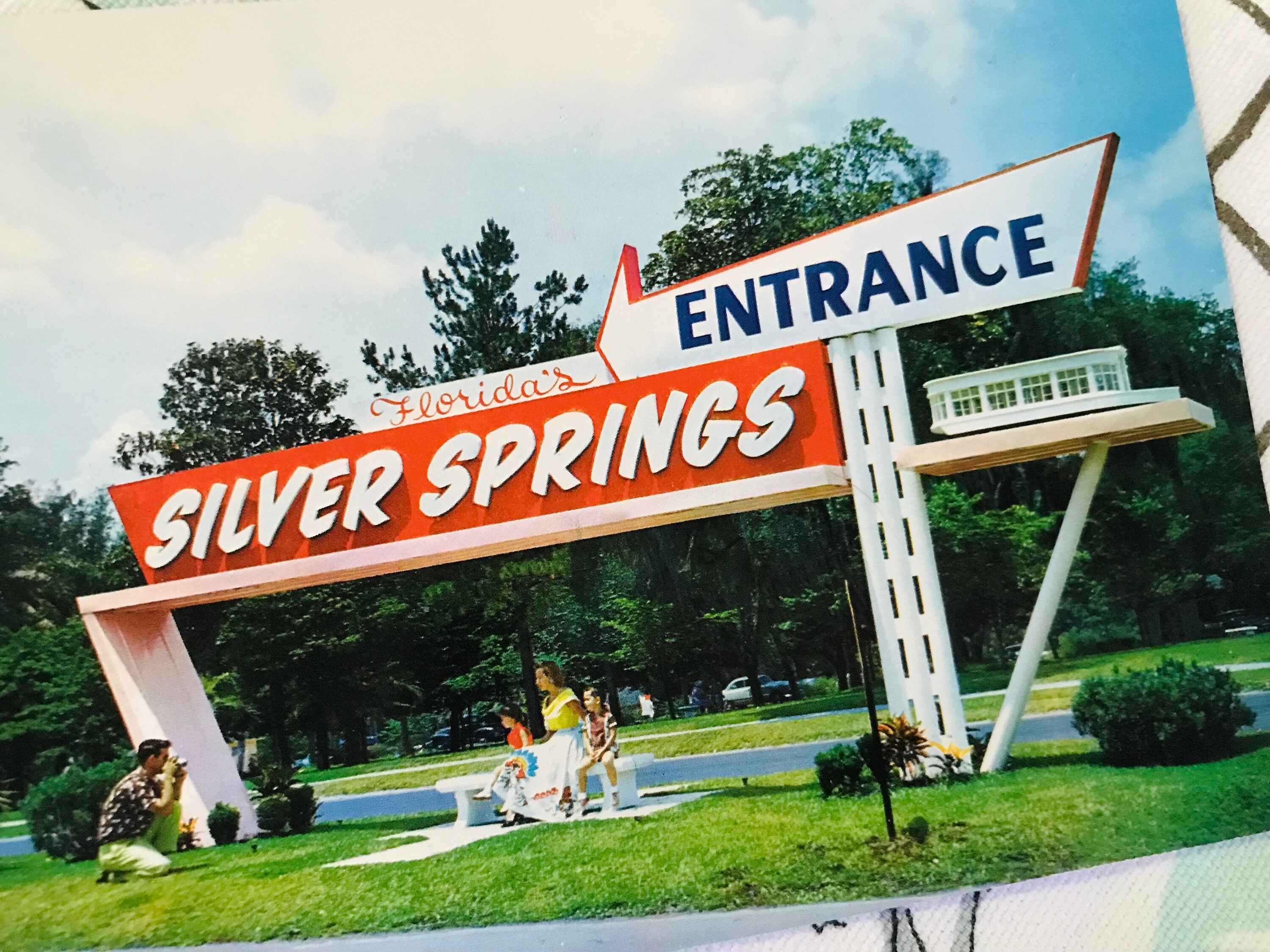 Vintage Florida Postcard Silver Springs Entrance Sign Mid Century 1950s ...
