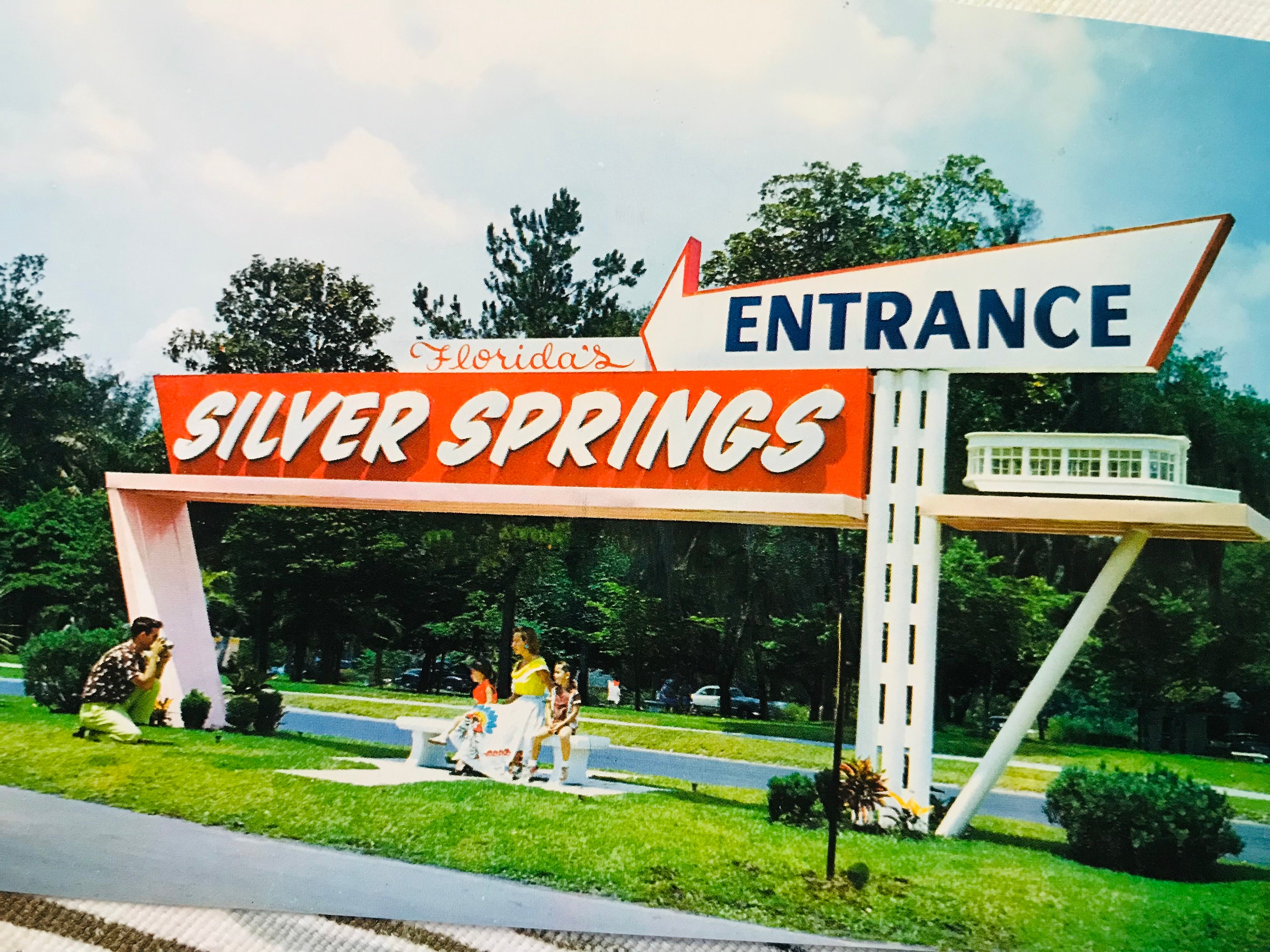 Vintage Florida Postcard Silver Springs Entrance Sign Mid Century 1950s ...