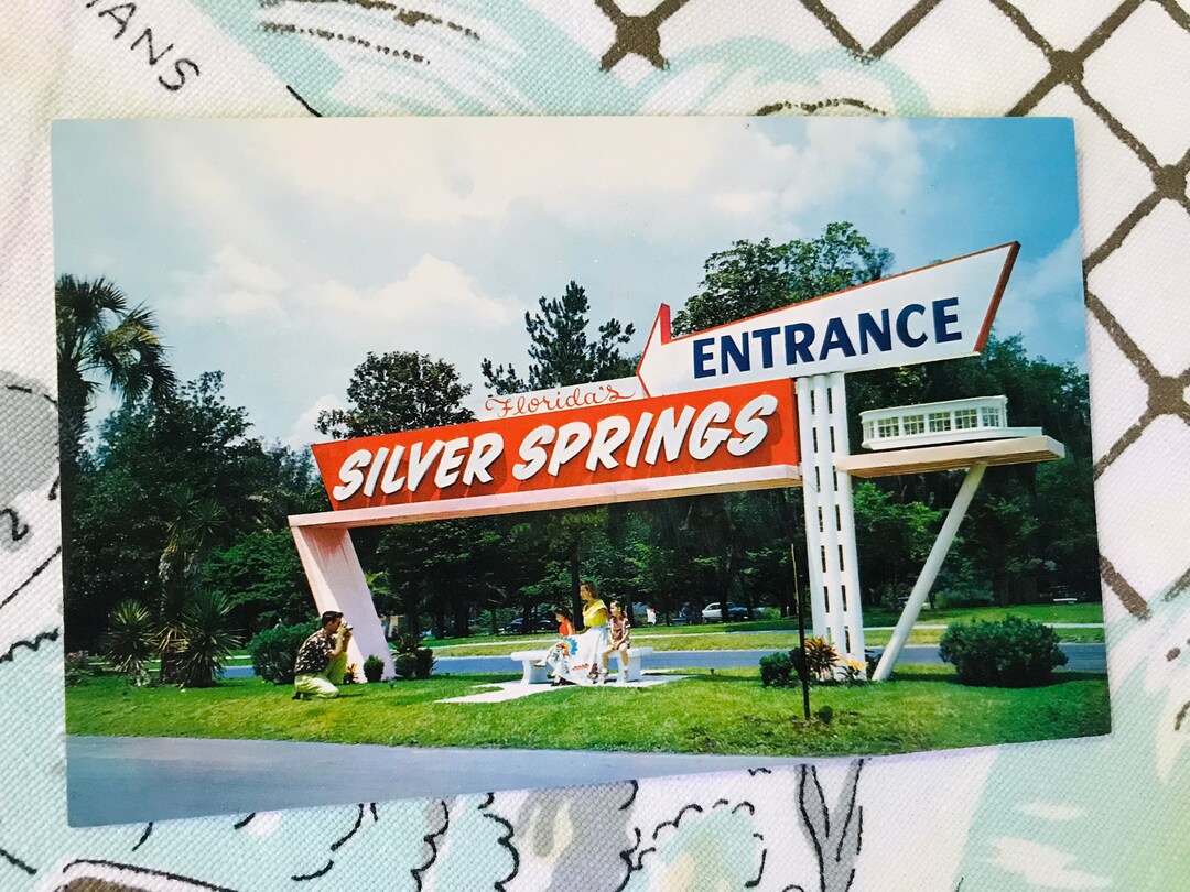 Vintage Florida Postcard Silver Springs Entrance Sign Mid Century 1950s ...