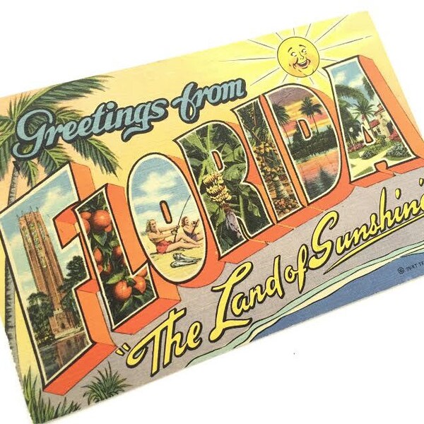 Florida Postcard - Etsy