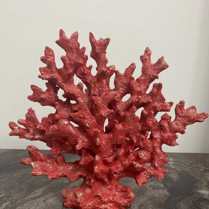 Coral Home Decor - Etsy