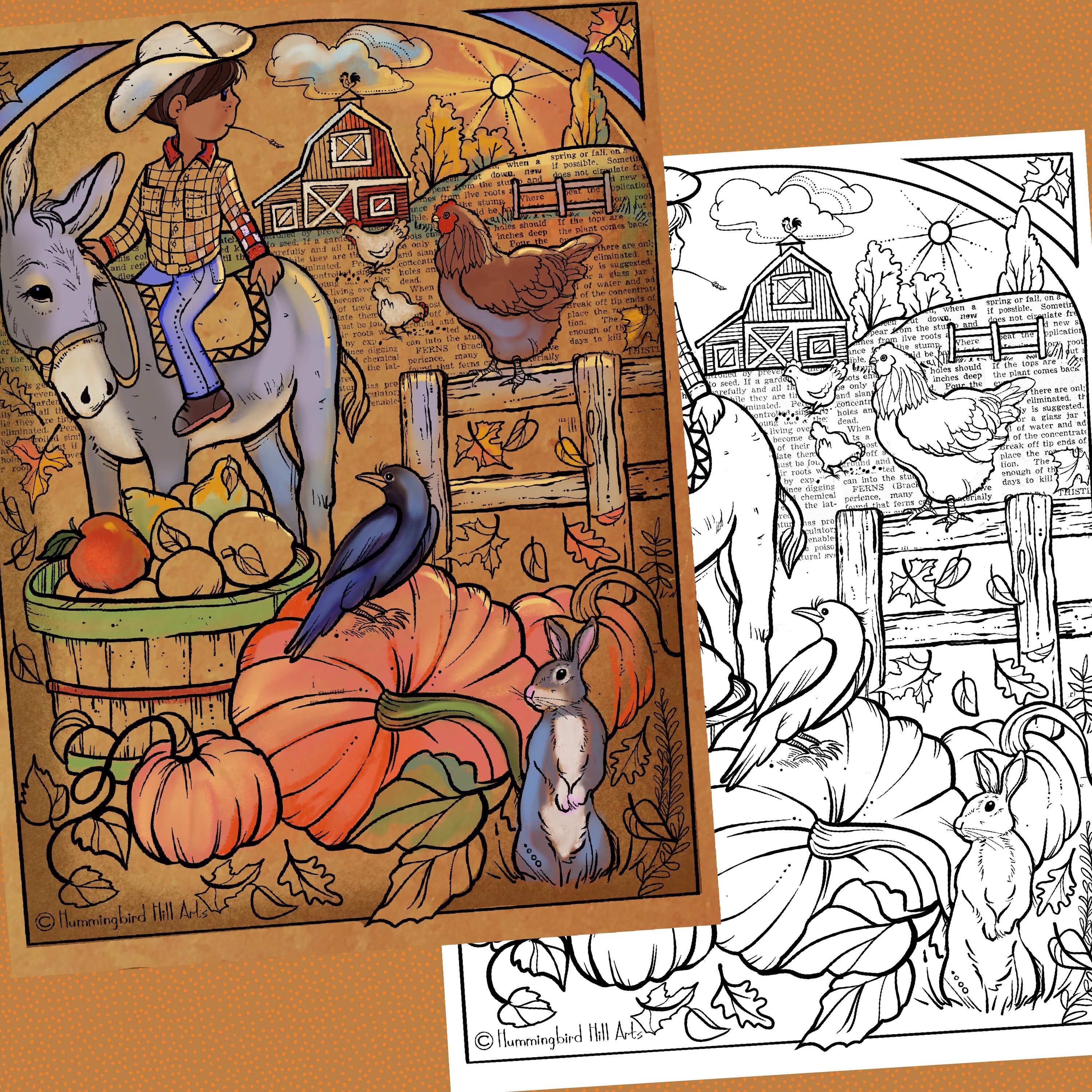 Farmer Boy Coloring Page