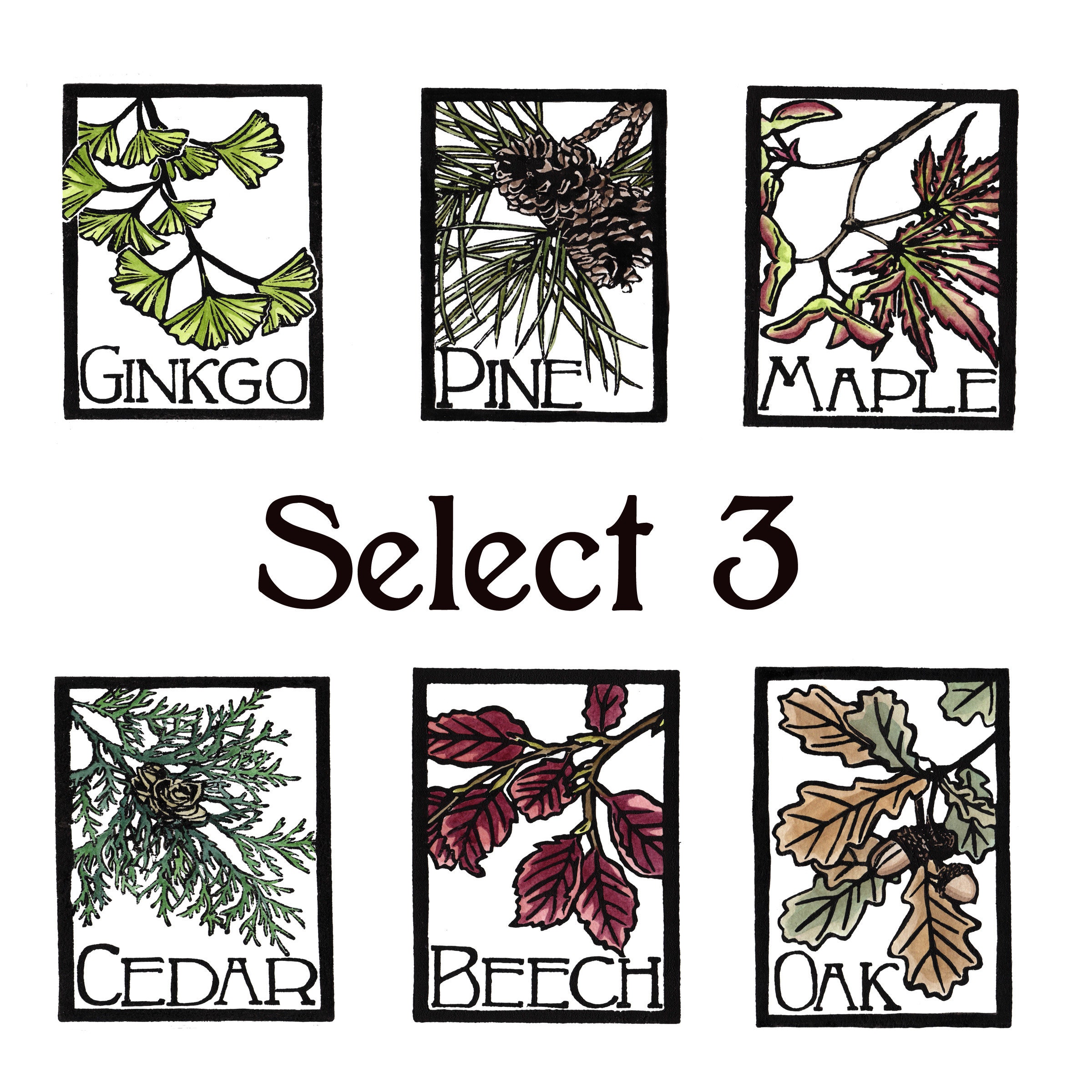 Choose 3 Prints Maple Cedar Beech Ginkgo Pine Oak Block - Etsy