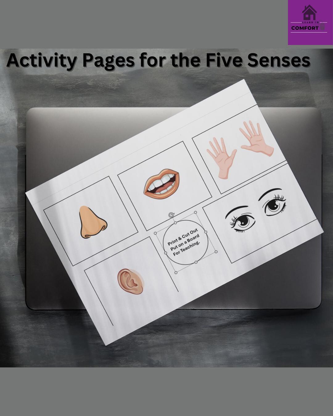 Five Senses Activity Book: 10 Page Interactive Learning (printable) - Etsy