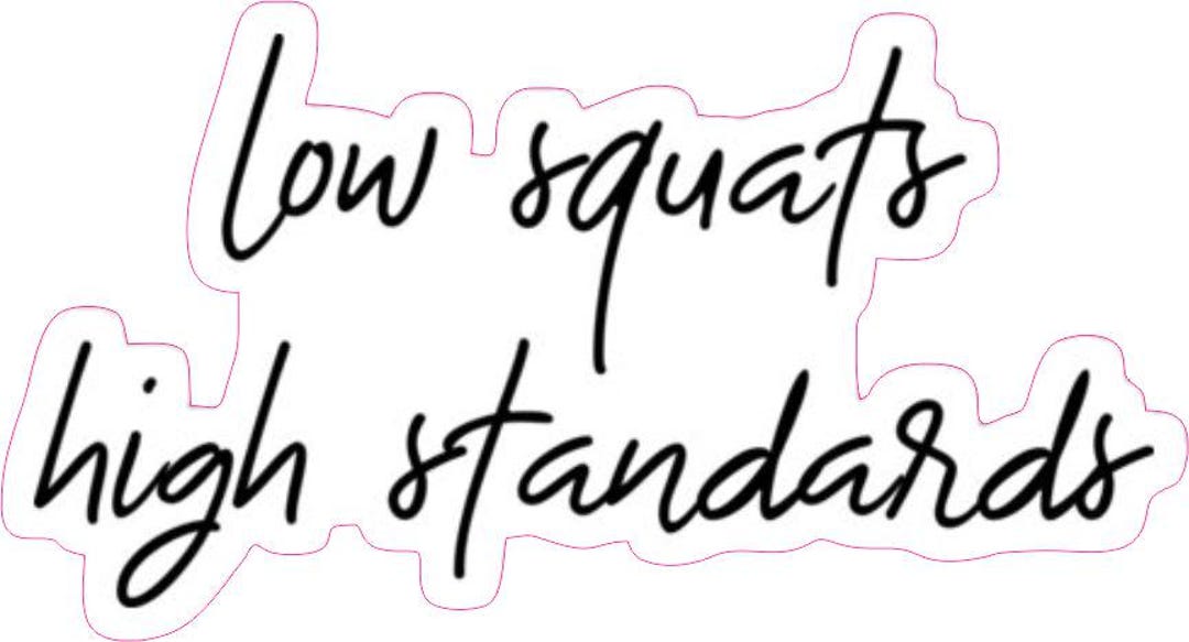 Low Squats High Standards, Vinyl Decal Sticker - Etsy