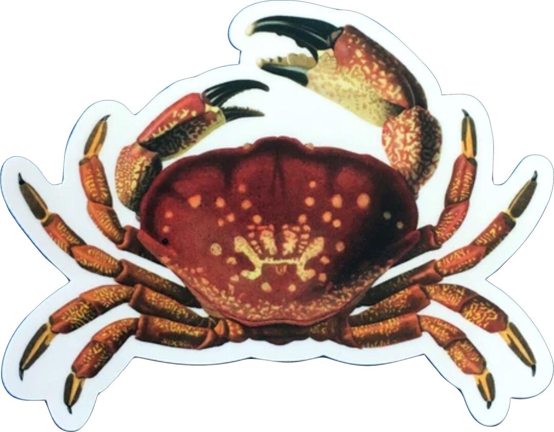 Beach Crab, Vinyl Decal Sticker - Etsy