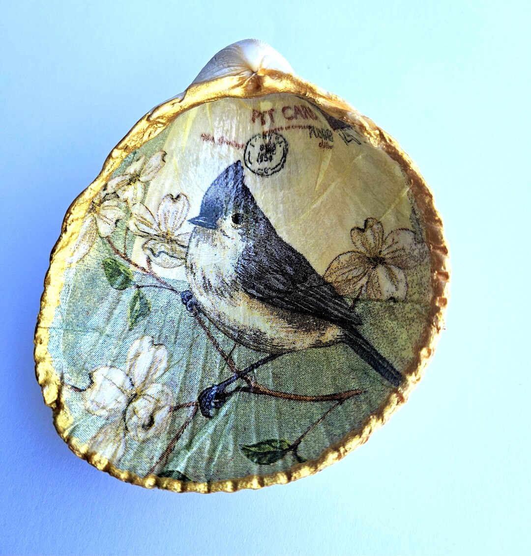 Titmouse Bird Decoupaged Seashell. Bird Lover Gift. Nature Lover Gift ...