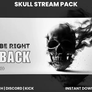 Skull Twitch Stream Pack | Twitch Screen Overlay | Twitch Panels ...