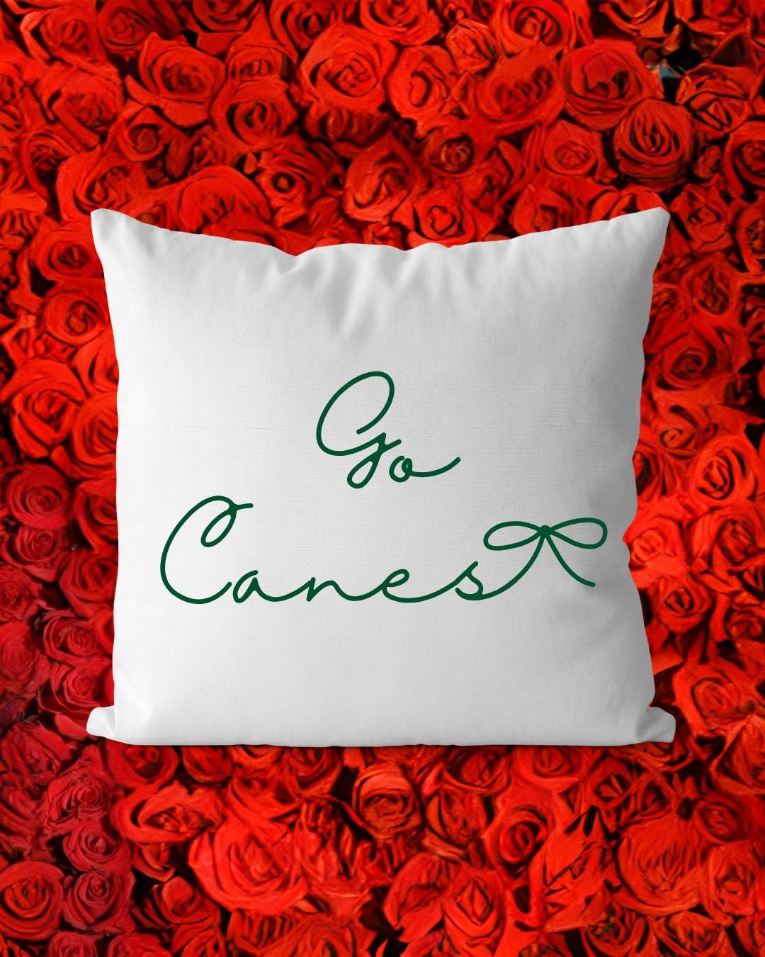 UM Bed Party Decor UM Dorm Decor Unv of Miami Bed Party University of ...