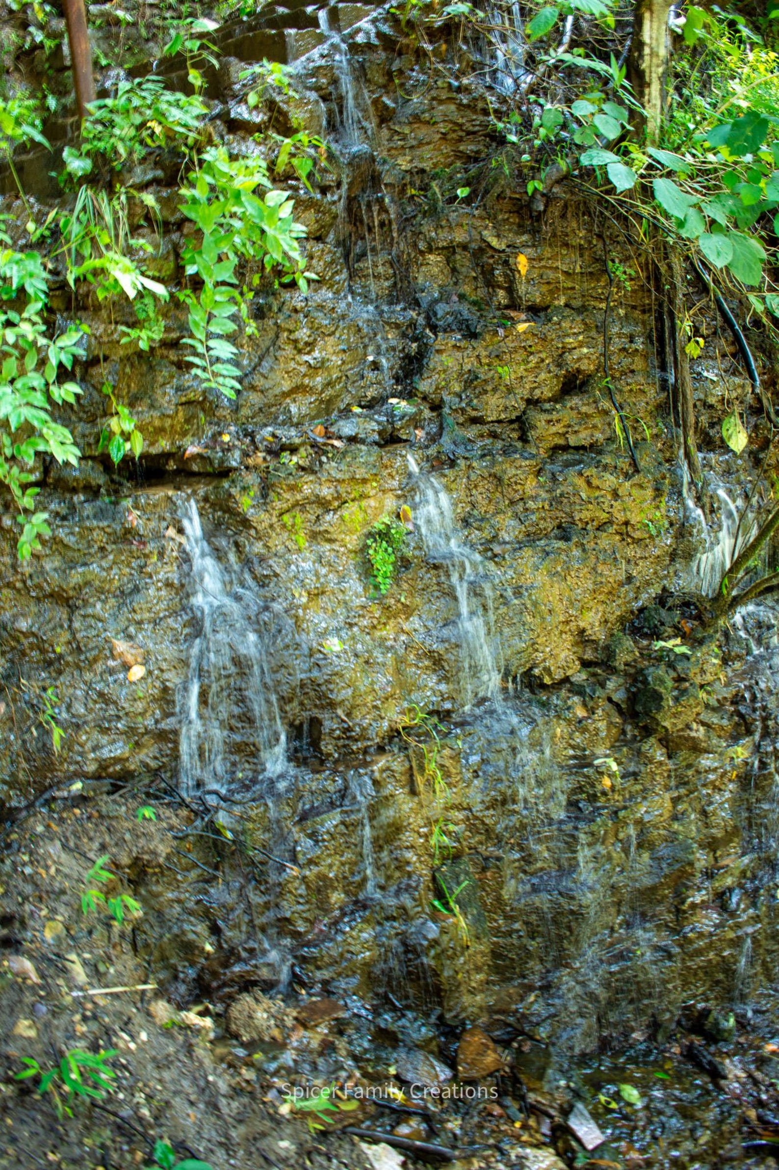 Rock Island State Park Stone Wall With Spring Water Running Down Trail ...