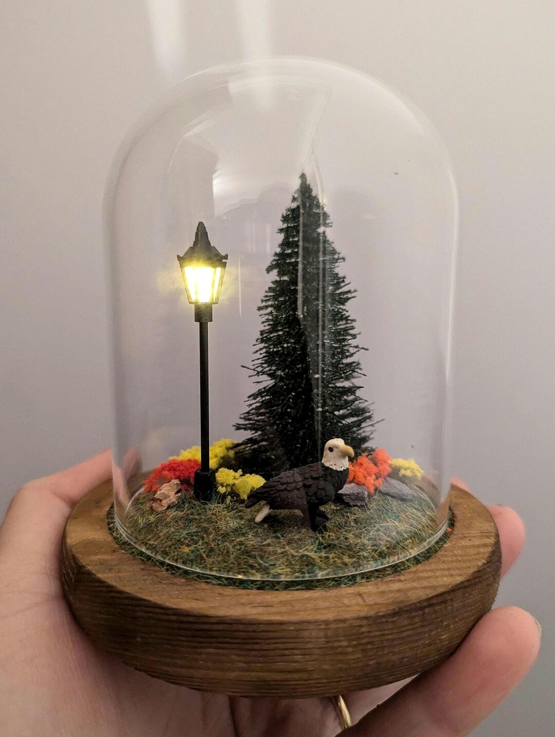 Bald Eagle Miniature Handmade Light up Terrarium Diorama - Etsy