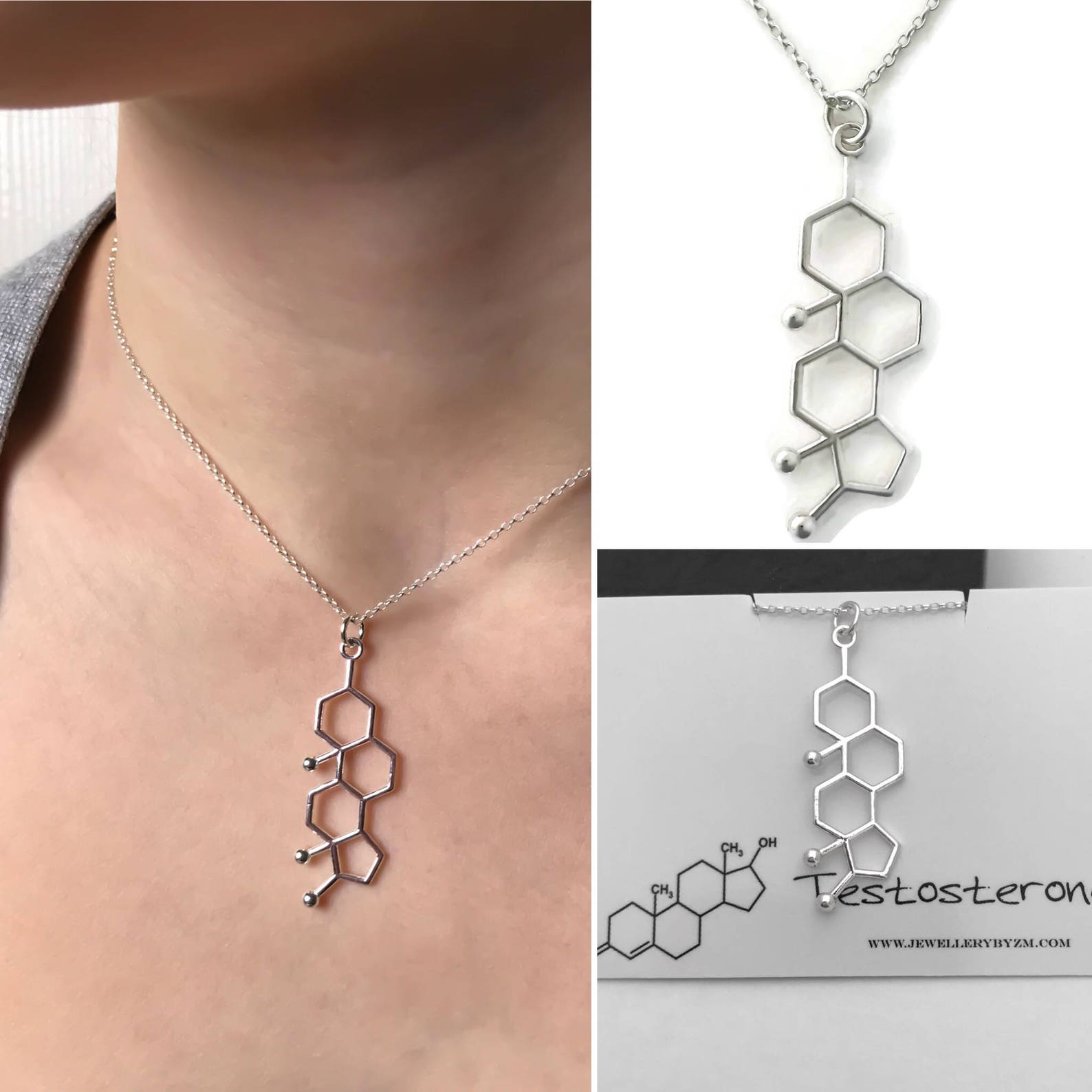 Sterling Silver Testosterone Necklace - Testosterone Molecule, Science ...