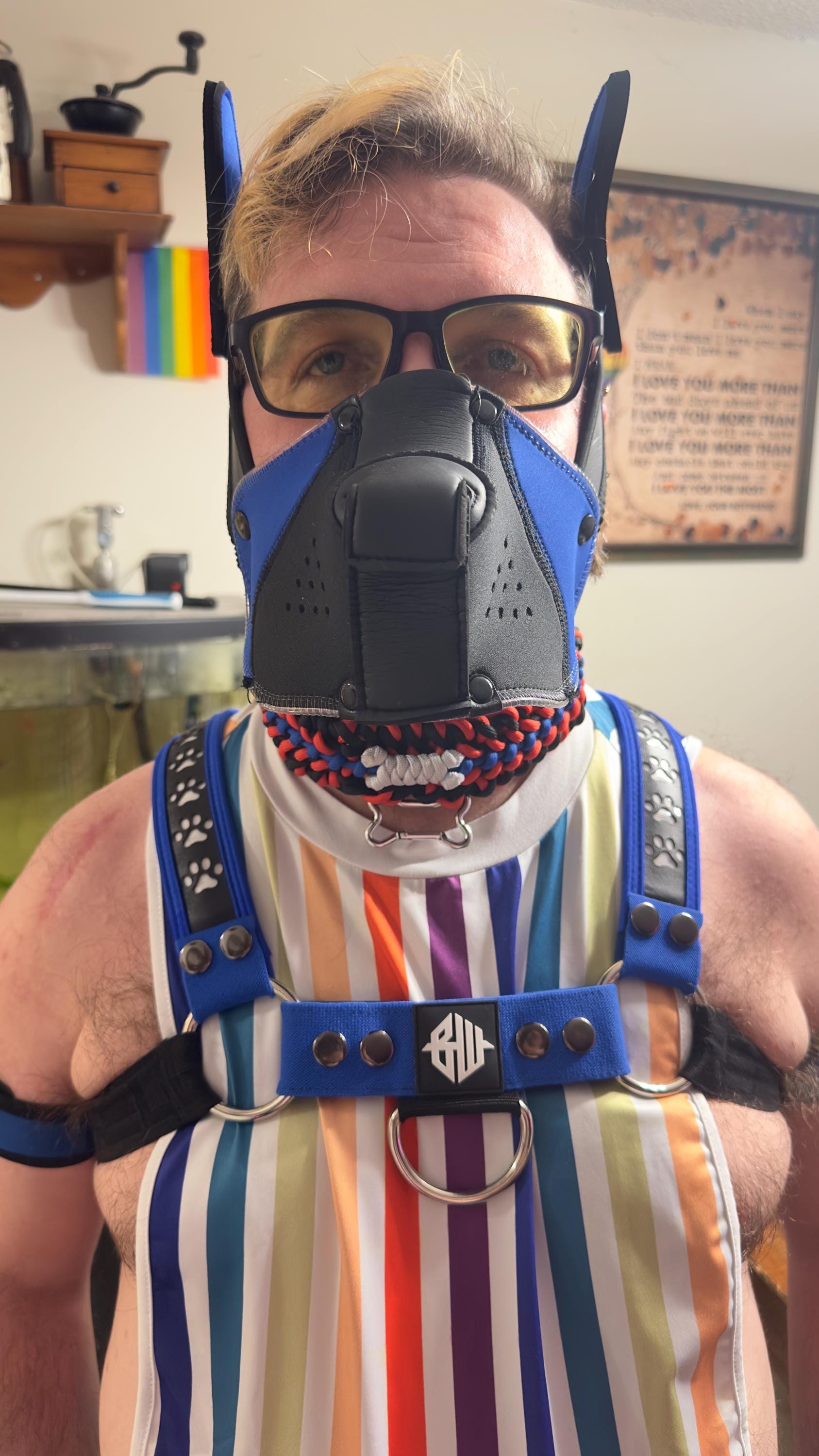 Custom Made Human Pup Collar - Etsy