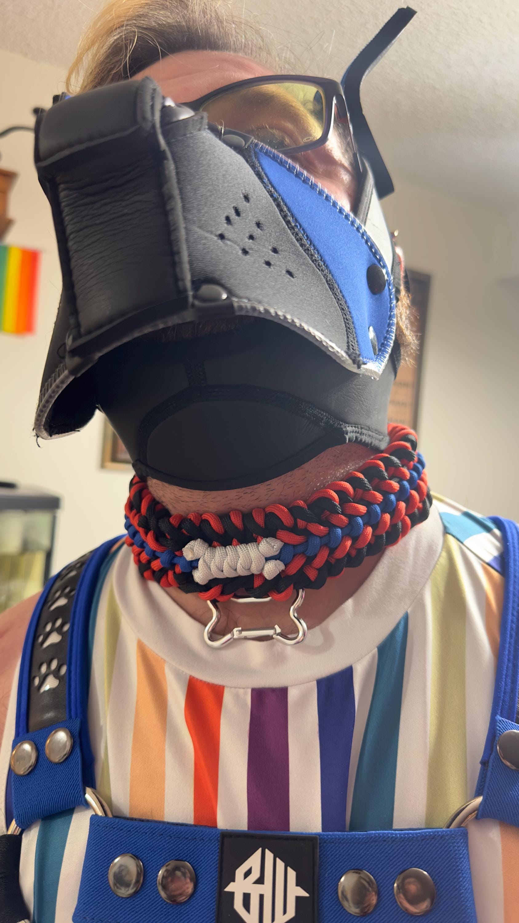 Custom Made Human Pup Collar - Etsy