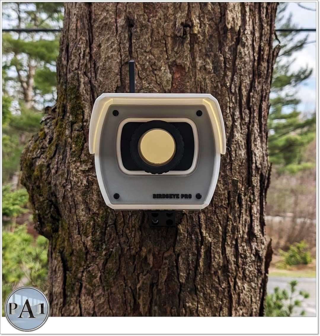 Perchcam Birdhouse, Security Camera Style, Funny Garden Decor - Etsy