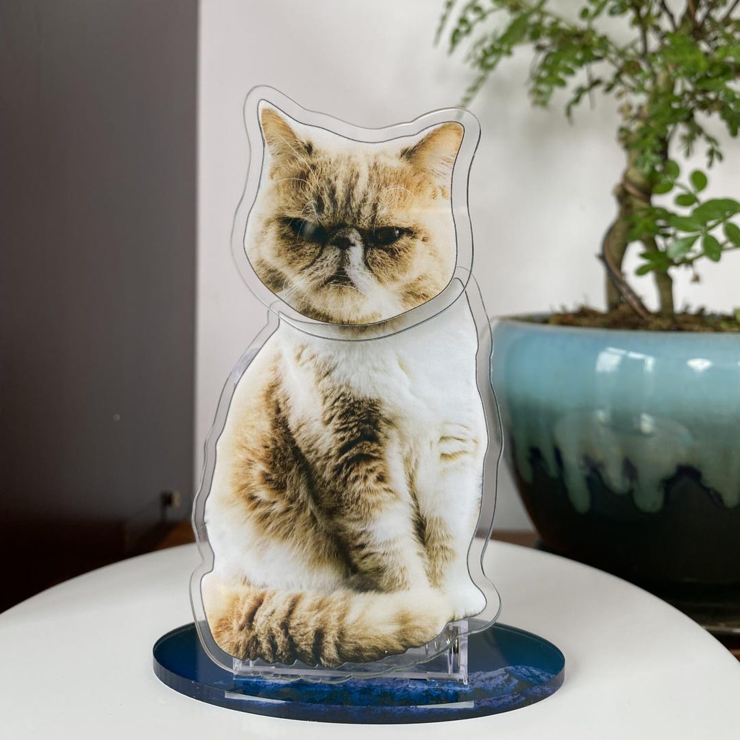 Creative Bobblehead Dolls, Double Bobblehead Dolls, Unhappy Cats, Car ...