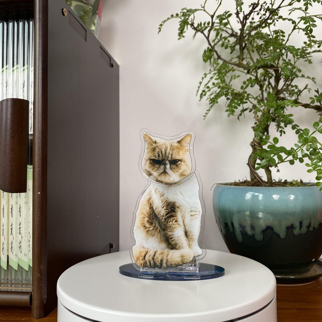 Personalized Bobbleheads, Custom Kitten Gifts, Car Accessories, Pet ...