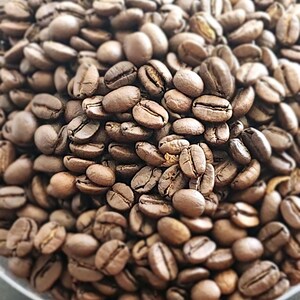 Freshly Roasted Specialty Coffee Beans – 4oz (110g), 8oz (250g), 12oz ...