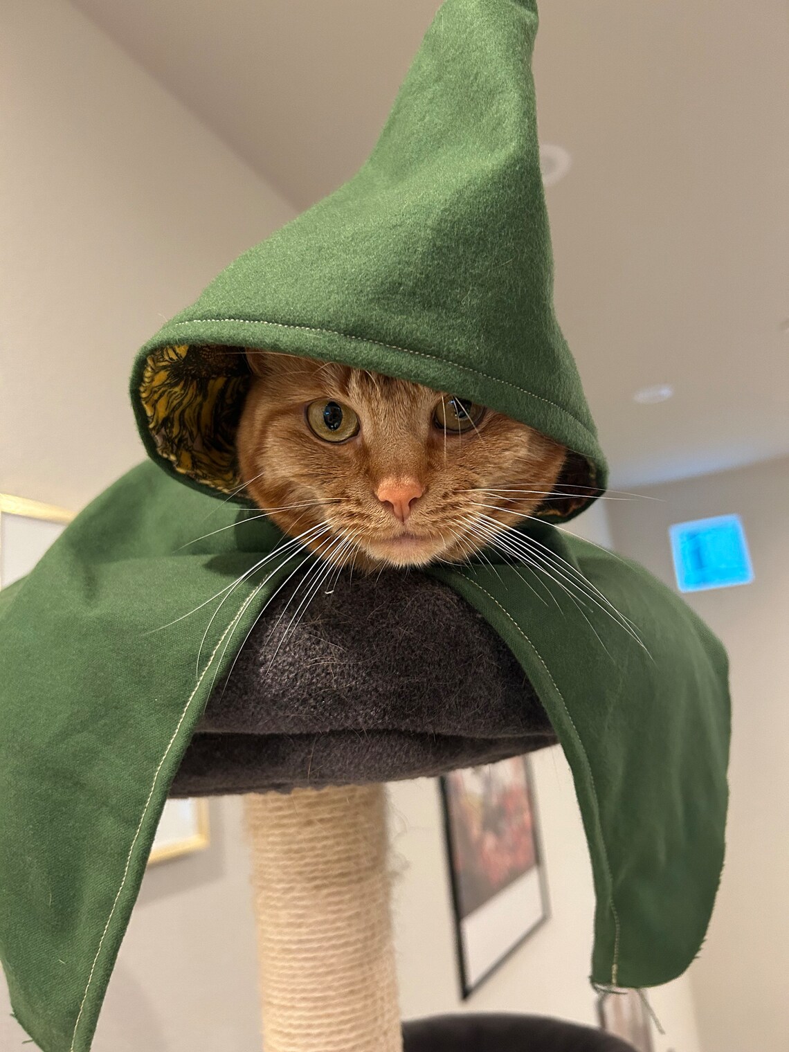 Cat Cloak Hobbit-style Sewing Pattern - Etsy