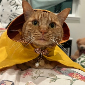 Cat Cloak Hobbit-style Sewing Pattern - Etsy