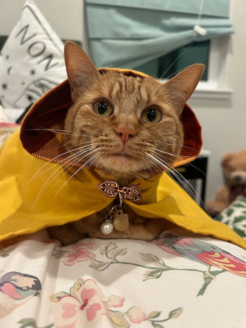 Cat Cloak Hobbit-style Sewing Pattern - Etsy