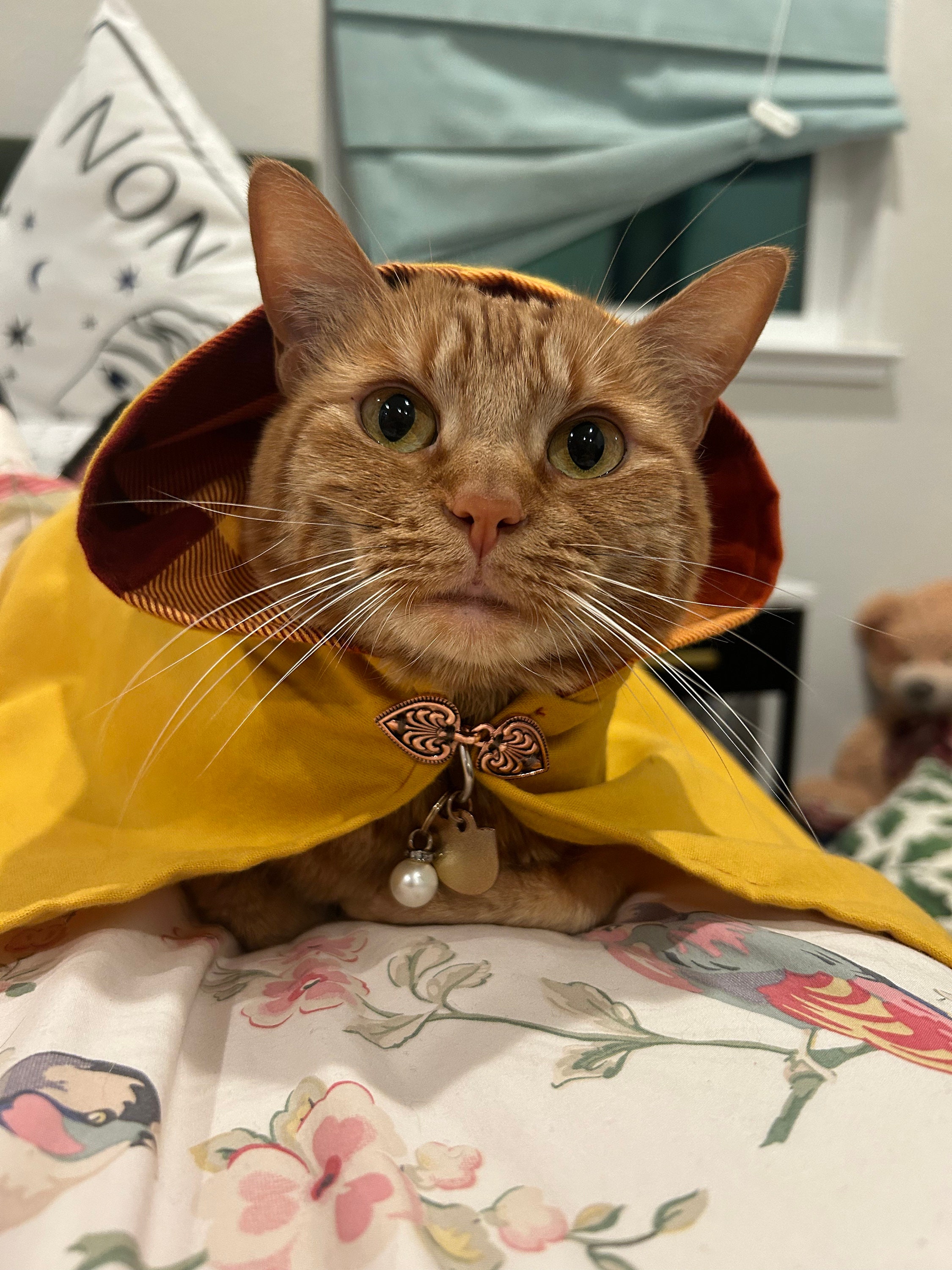 Cat Cloak Hobbit-style Sewing Pattern - Etsy