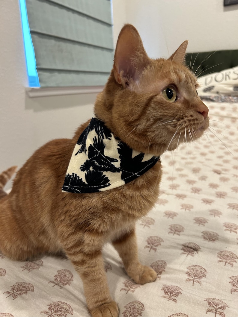 Cat Scarf, Cat Bandana Sewing Patterns Bundle - Etsy