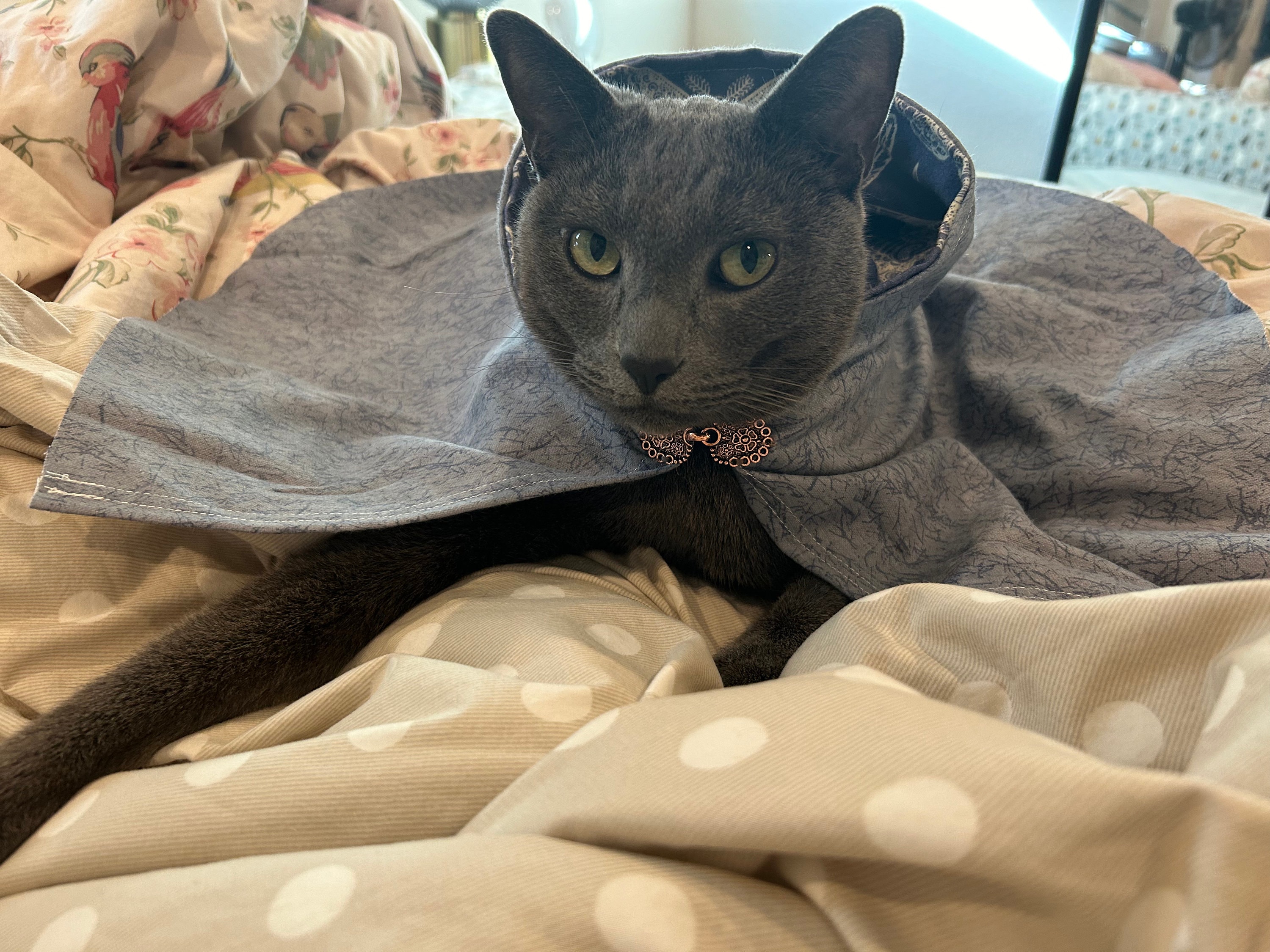 Cat Cloak Hobbit-style Sewing Pattern - Etsy