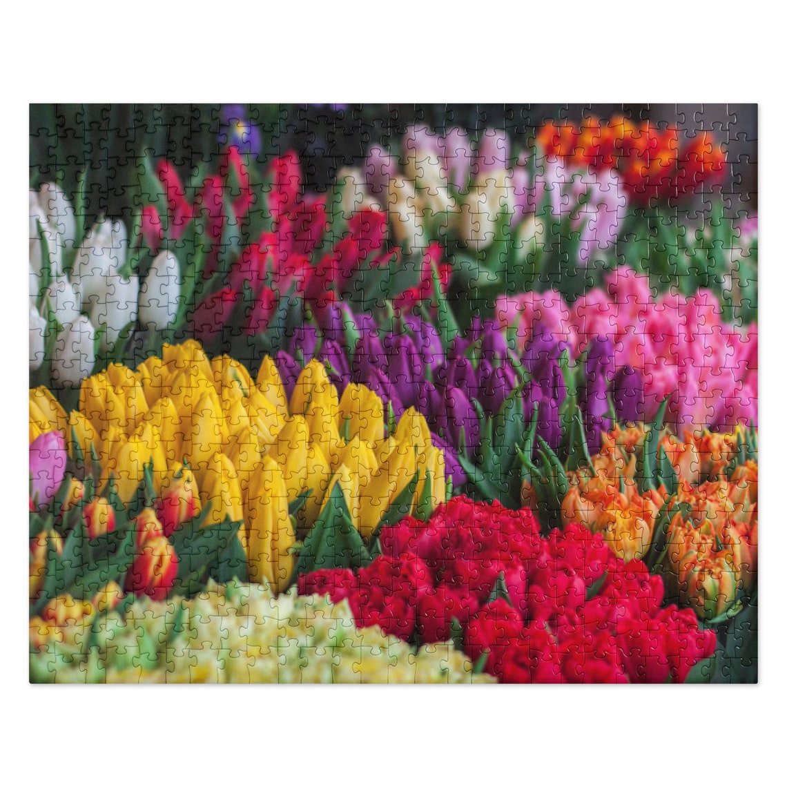 Colorful Tulips Jigsaw Puzzle - Etsy