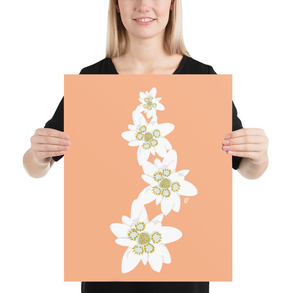 Edelweiss Flower Stack Art Print - Etsy