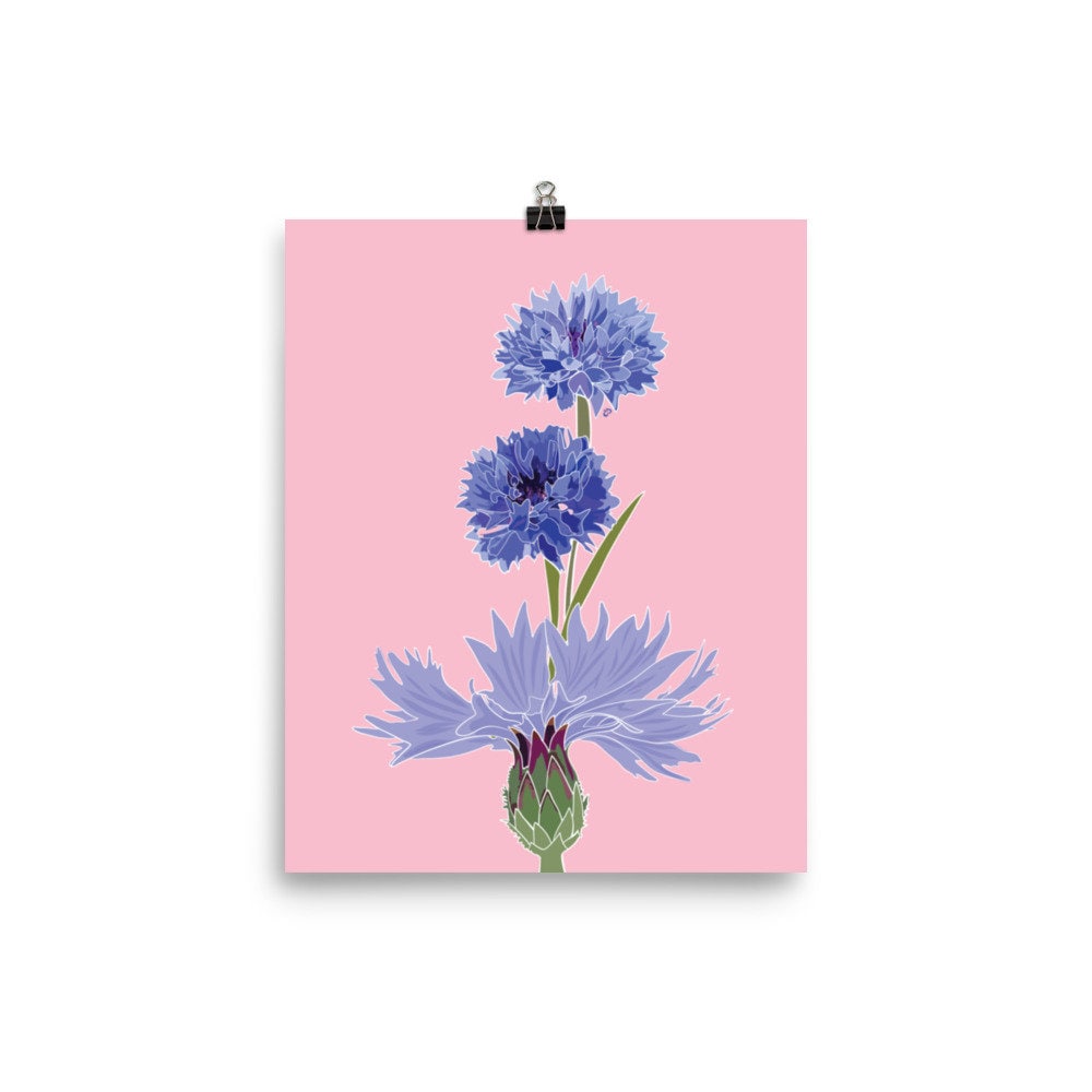 Cornflower Stack Art Print - Etsy