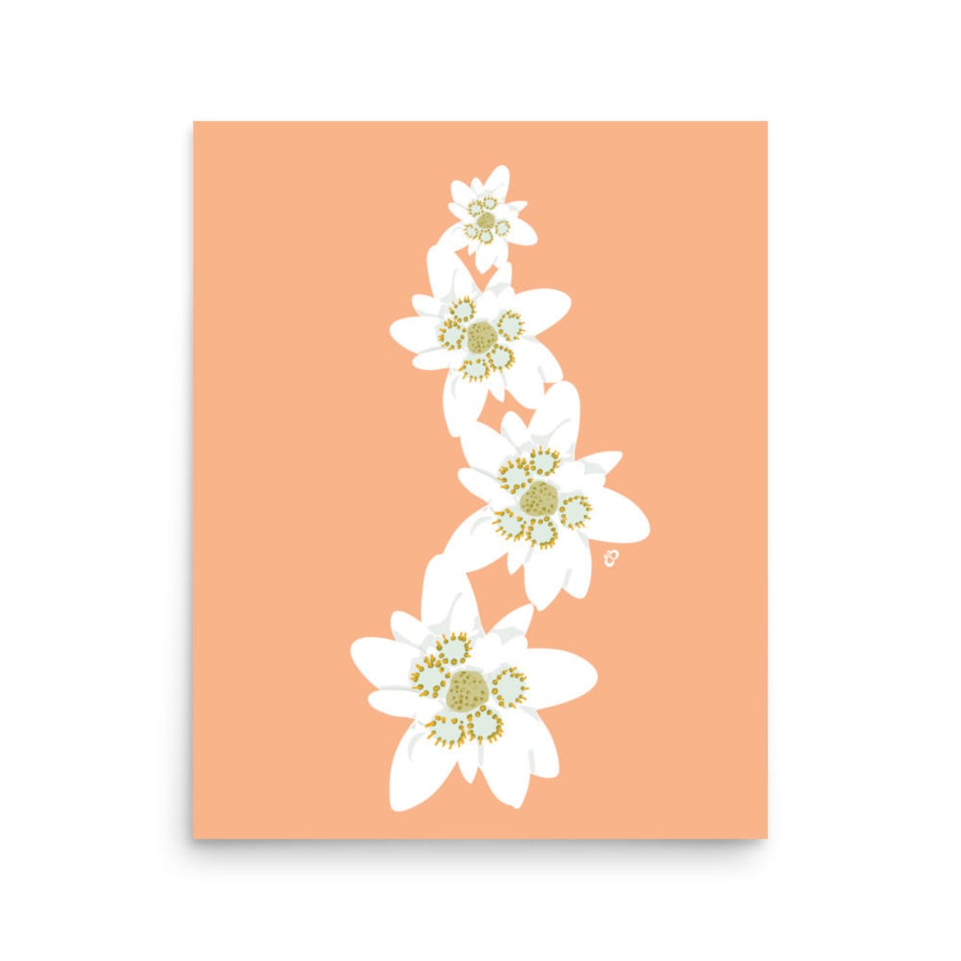 Edelweiss Flower Stack Art Print - Etsy