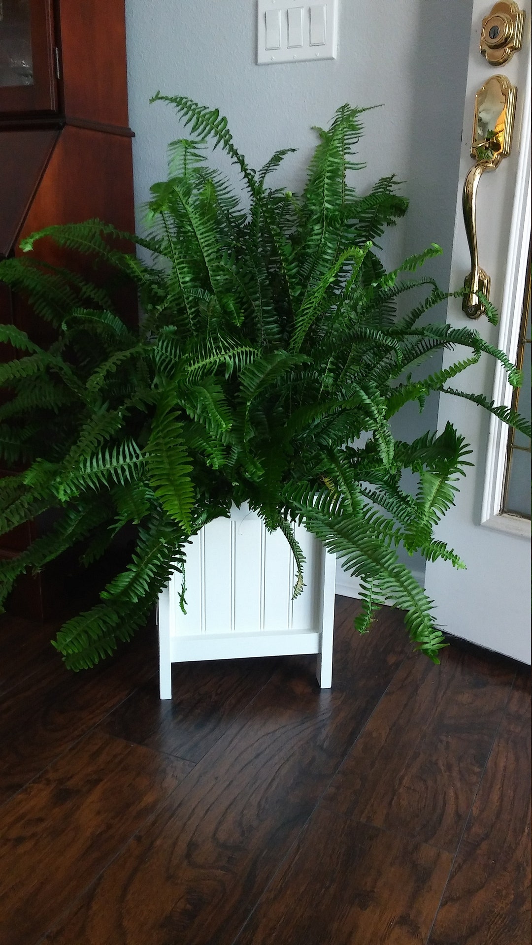 Handmade Shaker Style Square Interior Planter, New Construction, White ...