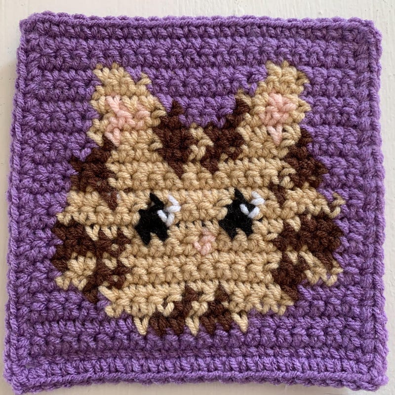 Stitch Fiddle Crochet Patterns - Etsy