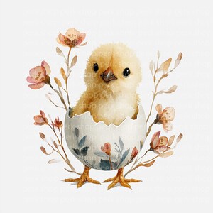 Easter Chick Hatching Clipart, Floral Chicken Egg, Printable Watercolor ...