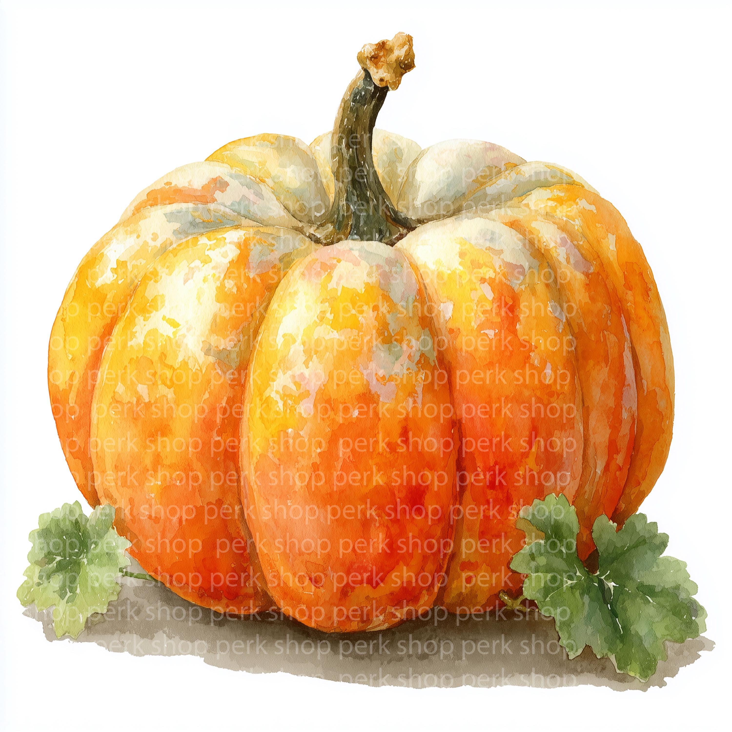 Watercolor Pumpkin Clipart: Autumn Harvest Illustrations (digital ...