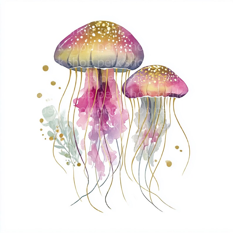 Jellyfish Watercolor Clipart Bundle: Boho Ocean Art, Sea Life JPG - Etsy