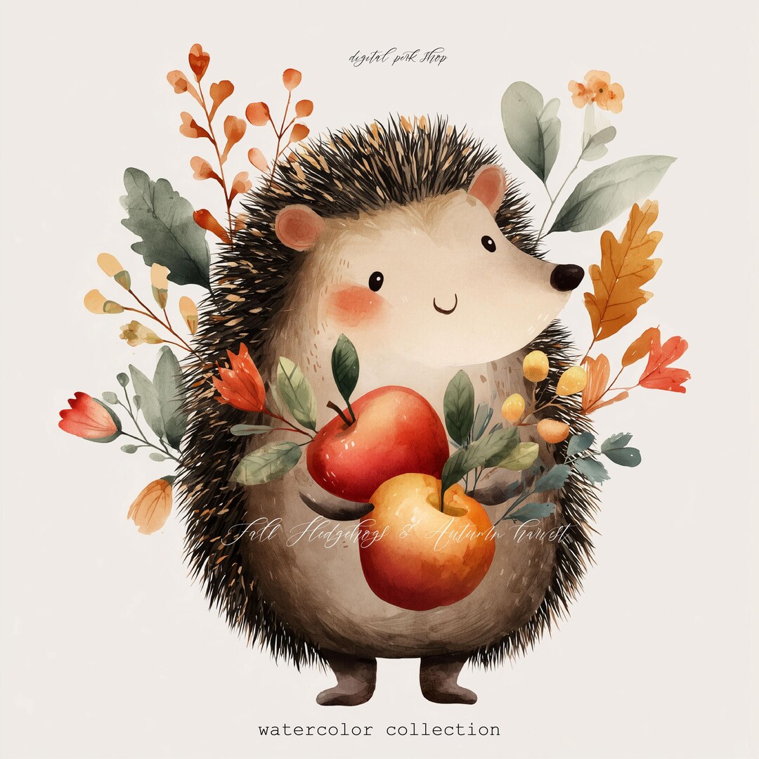 Fall Hedgehog Clipart: Watercolor Autumn Animals & Harvest (JPG Files ...
