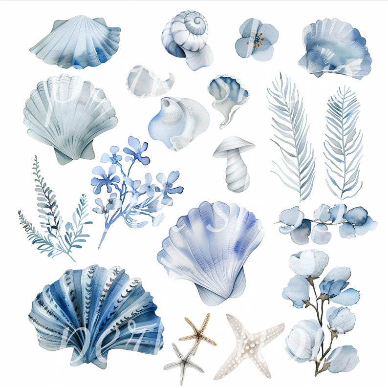 10 Sea Shells Clipart, Coastal Botanicals Printable Watercolor Clipart ...