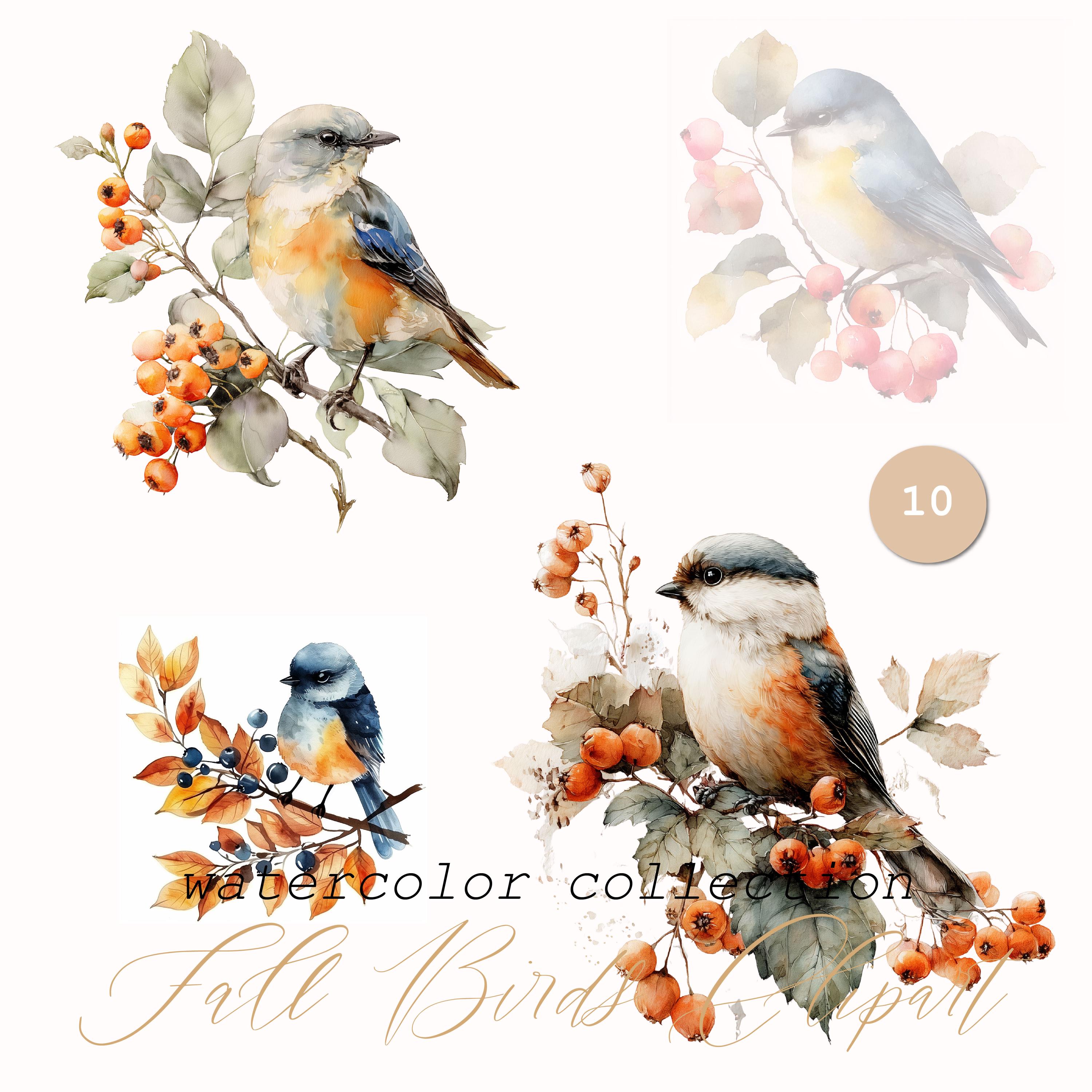 Fall Birds Watercolor Clipart: Autumn Animal PNG Illustrations (digital ...