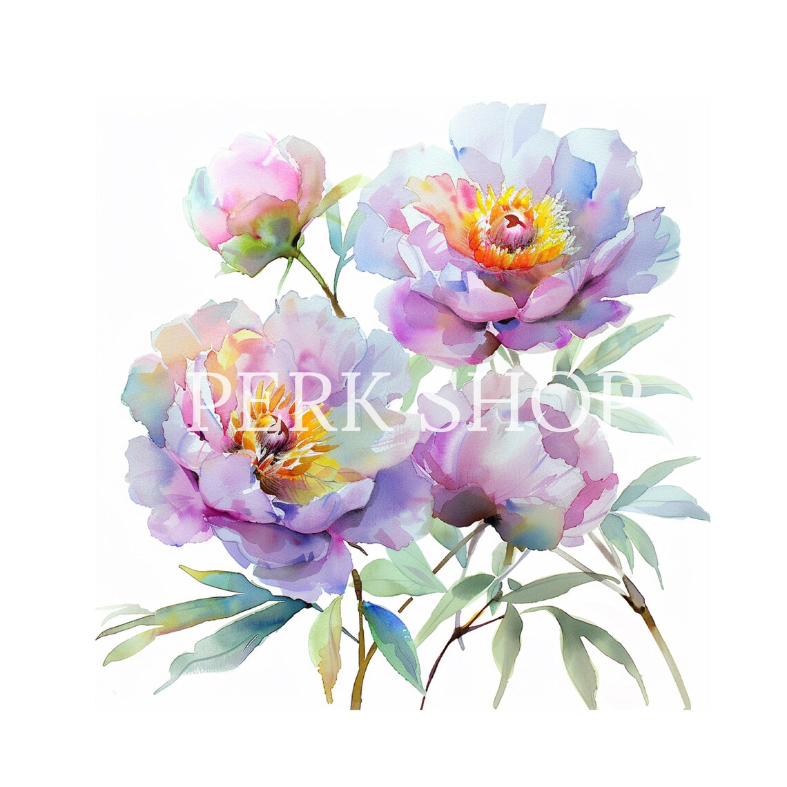 10 Watercolor Peonies Clipart, Garden Flowers Clipart, High Quality ...