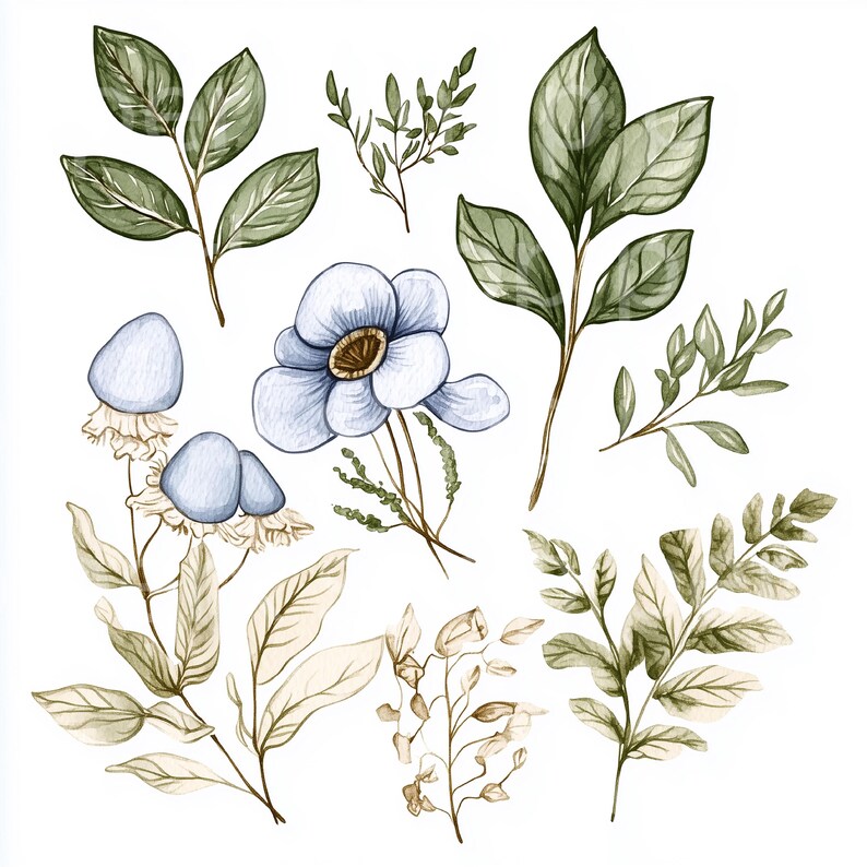 7 Woodland Mushrooms Clipart, Rustic Forest Fungi Watercolor ...