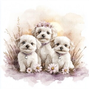 11 Maltese Puppies Clipart, Cute Dogs Clip Art, Printable Watercolor ...
