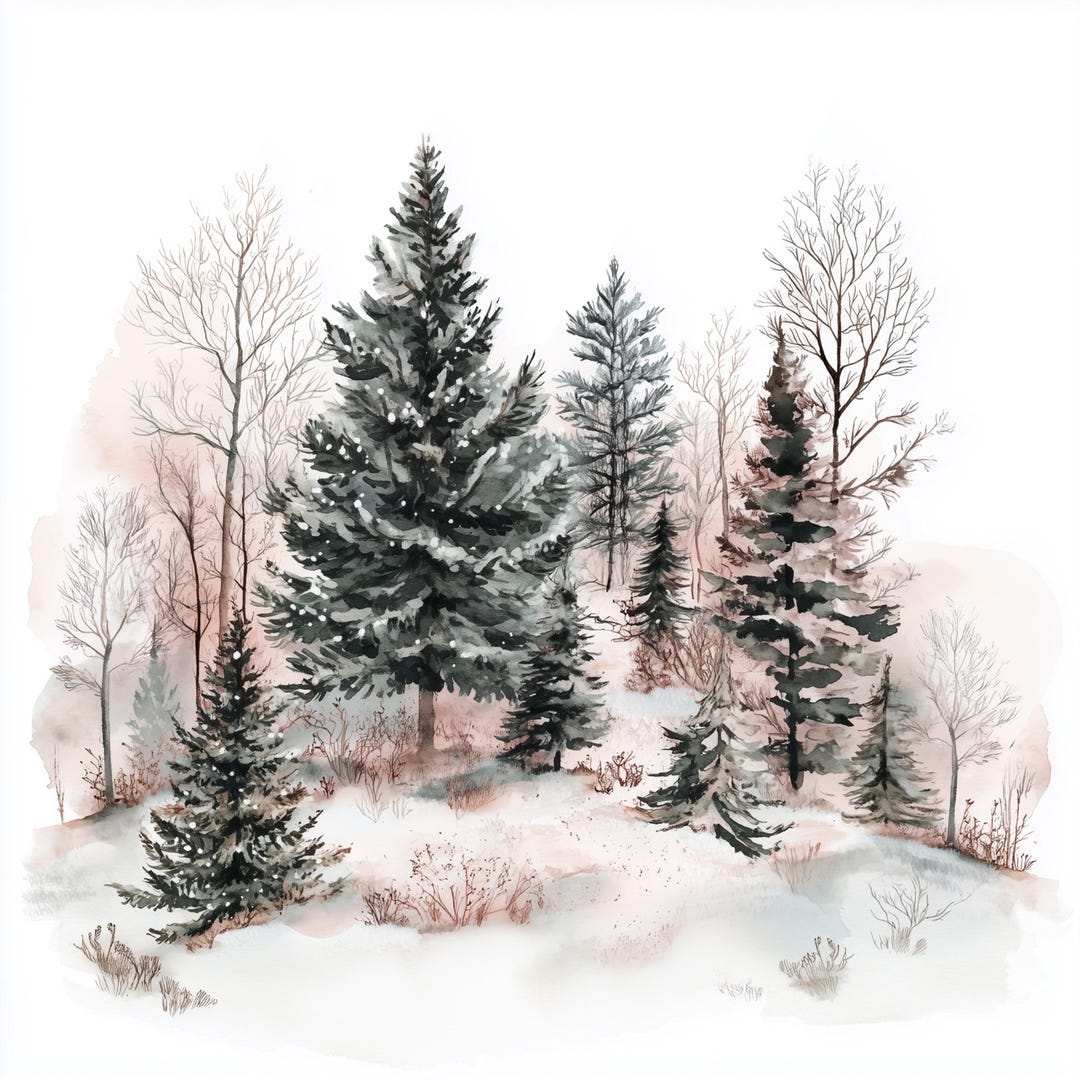 Watercolor Christmas Trees Clipart: Winter Forest Landscape (digital ...
