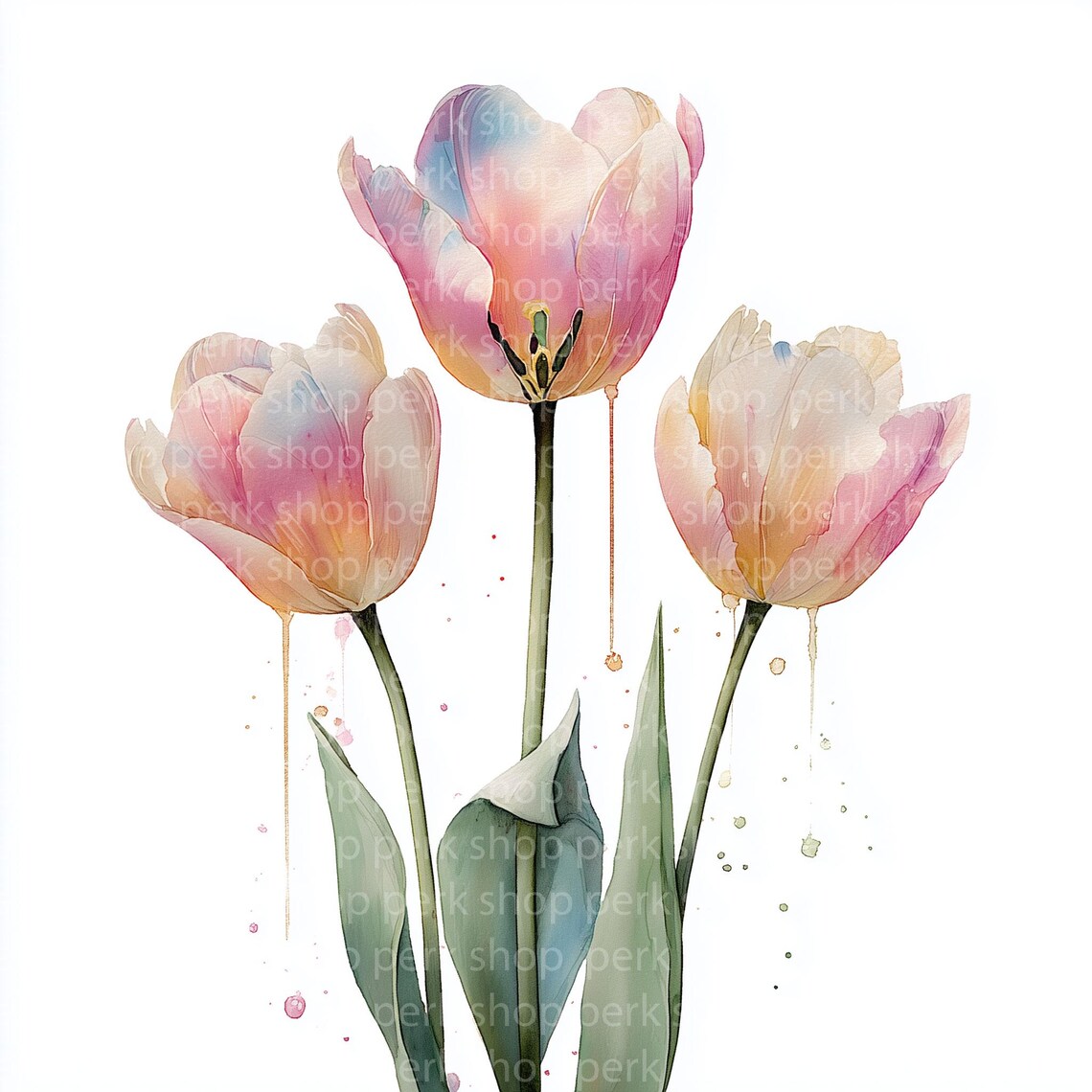 Watercolor Tulip Clipart: Spring Floral Graphics (JPG/PNG) - Etsy