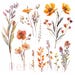 Fall Wildflower Watercolor Digital Paper Pack, Rustic Autumn Background ...