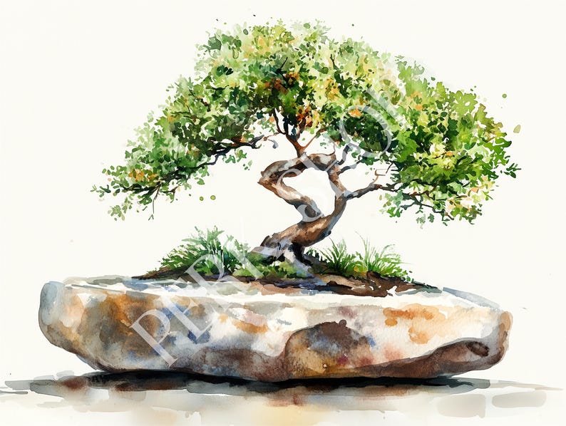 9 Bonsai Tree Watercolor Digital Clipart, Japanese Nature Inspired ...