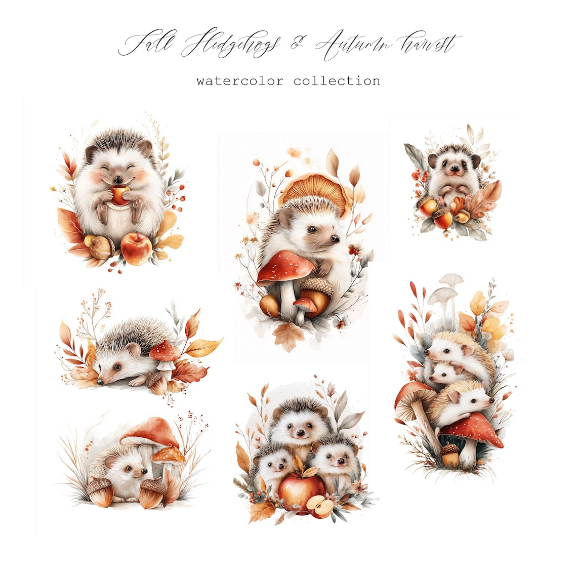 Fall Hedgehogs Clipart, Autumn Watercolor Animals, Cute Woodland ...