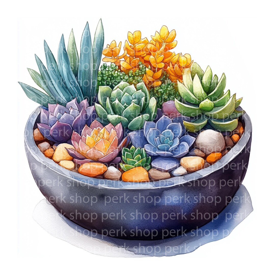 Watercolor Succulents Clipart: Cactus PNG/JPG (digital Download) - Etsy