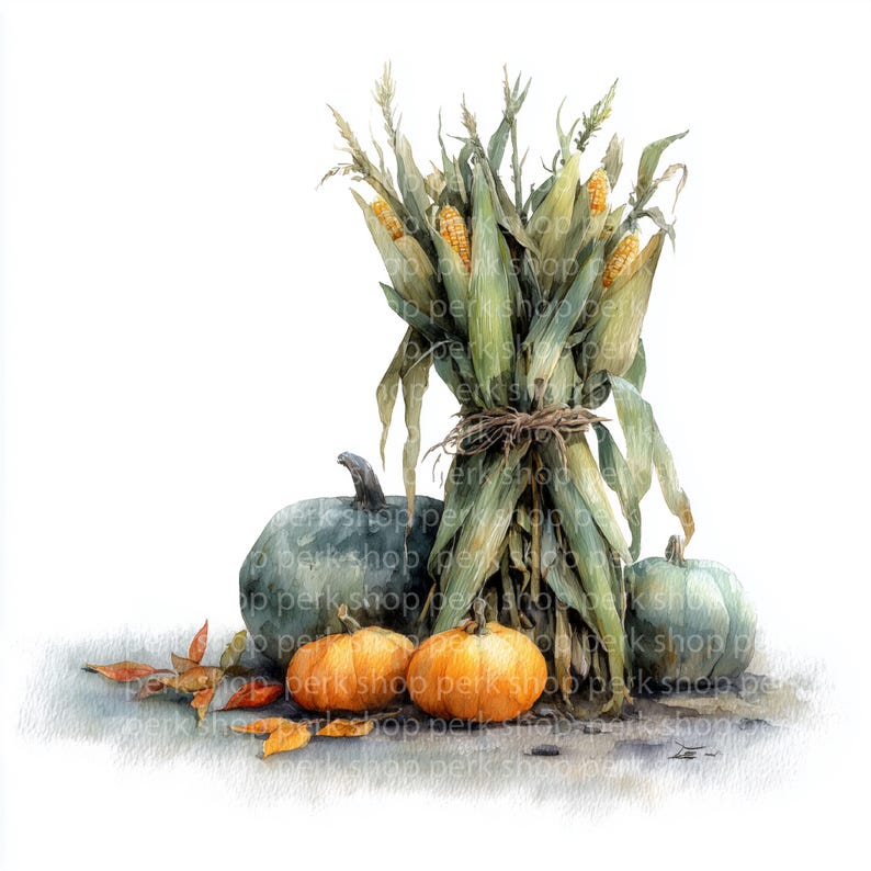 Thanksgiving Watercolor Clipart, Fall Harvest Pumpkins and Corn Bundle ...